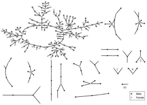 433 253 Algorithms And Data Structures Graphs Are Everywhere