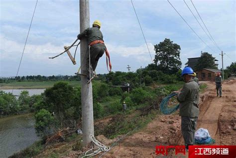 江西鄱陽供電：黨員搶修服務隊 護航圩堤光明巡視 每日頭條