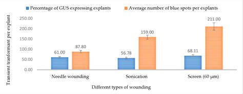 Figure 7 From Evaluation Of Parameters Affecting Agrobacterium Mediated Transient Gene