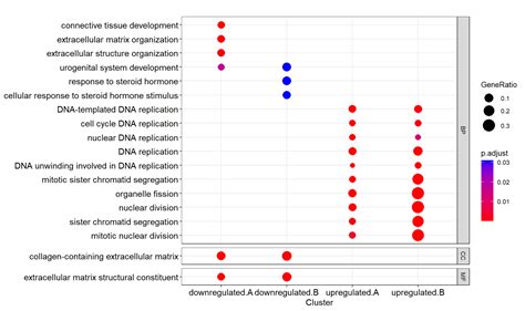 Dotplot Of Comparecluster Enrichgo All Ontology Fixing Enhancement