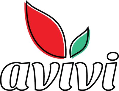Frontend Developer Middle React Node Js Next Js At Avivi Djinni