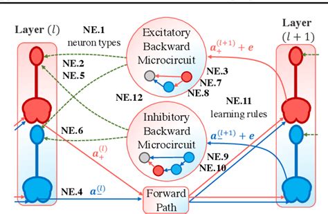 Figure 2 From A Computational Framework Of Cortical Microcircuits Approximates Sign Concordant