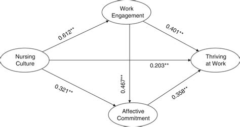 Final Model Showing Standardized Regression Coefficients Of The Paths