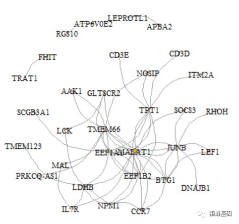Rna 26 Sci文章中基于转录组数据的基因调控网络推断 Genie3 Csdn博客