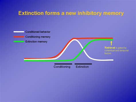 Improve Your Learning And Memory Role Of Memory In Ptsd And Other Anxiety Disorders
