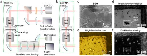 Optical Setup And Correlated Sem Optical Imaging A Schematic Of The Download Scientific