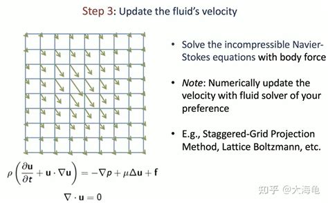 浸入边界法 Immersed Boundary Method 知乎
