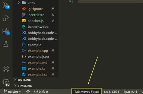 Tab Key Not Working In Visual Studio Code Issue Solved Bobbyhadz