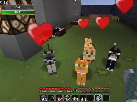 Cara Memberi Makan Kucing Di Minecraft Makanan Kucing