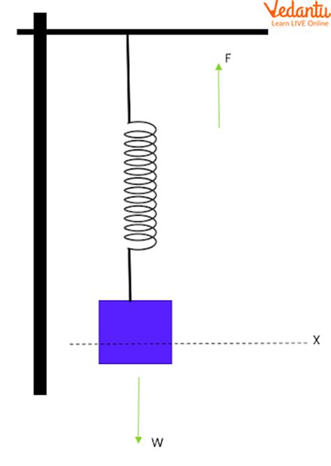 Is Spring Force Tension At George Ochoa Blog