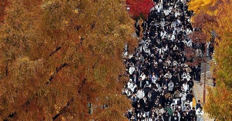 단풍 반 수험생 반