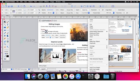 Canvas X Draw 710 For Macos Free Download Filecr
