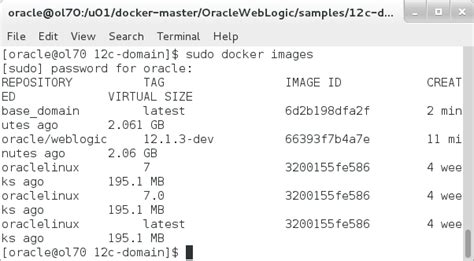 Oracle Weblogic Server Developer Guide Using Docker With Weblogic Server