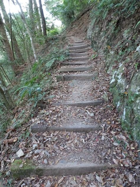 2022年10月15日 大員林 谷關七雄之首 八仙山之松鶴路線 健行筆記