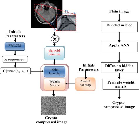 Simplified Algorithm Structure Download Scientific Diagram