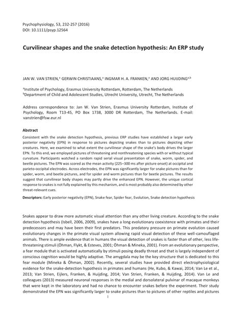 Pdf Curvilinear Shapes And The Snake Detection Hypothesis An Erp Study Pdf Curvilinear Shapes And The Snake Detection Hypothesis An Erp Study