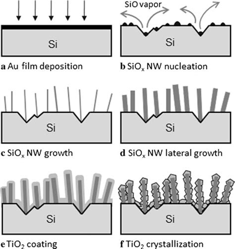 Sio X Tio 2 Core Shell Sample Preparation A A Thin 10 Nm Au Film Was Download Scientific