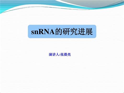 Snrnaword文档在线阅读与下载无忧文档