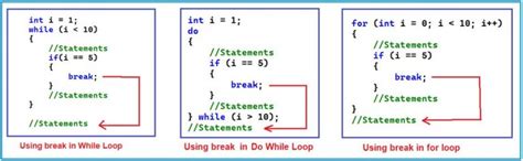 Break Statement In C With Examples Dot Net Tutorials
