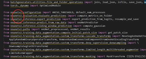 nnUNet v 版本 如何训练自己设计的网络 nnunetv 自定义网络 CSDN博客