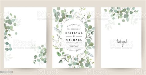 허브 유칼립투스 선택 벡터 프레임 손으로 그린 나뭇가지 흰색 바탕에 나뭇잎 결혼식에 대한 스톡 벡터 아트 및 기타 이미지 결혼식 유칼립투스 잎 초대장 Istock