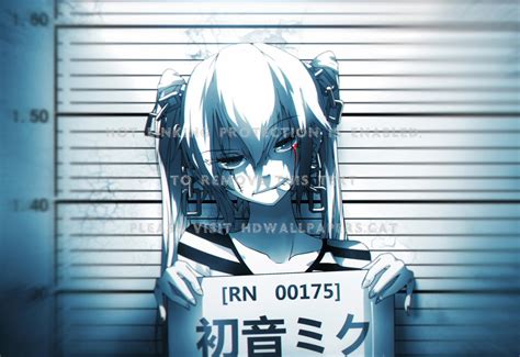 Insane Anime Girl Wallpapers Top Free Insane Anime Girl Backgrounds