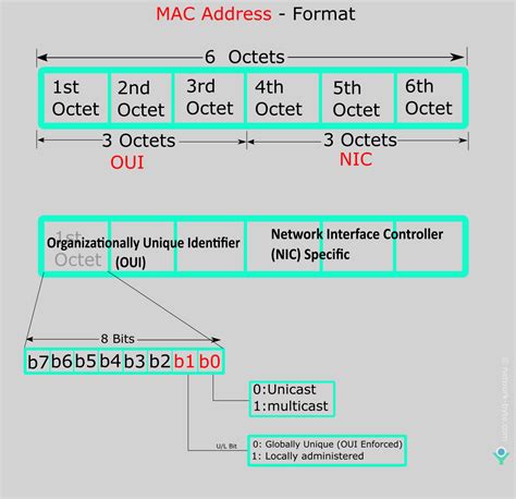 Understanding MAC Addresses NetworkByte