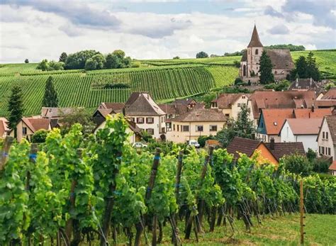 The Best Of Burgundy Wine Tours The Good Life France