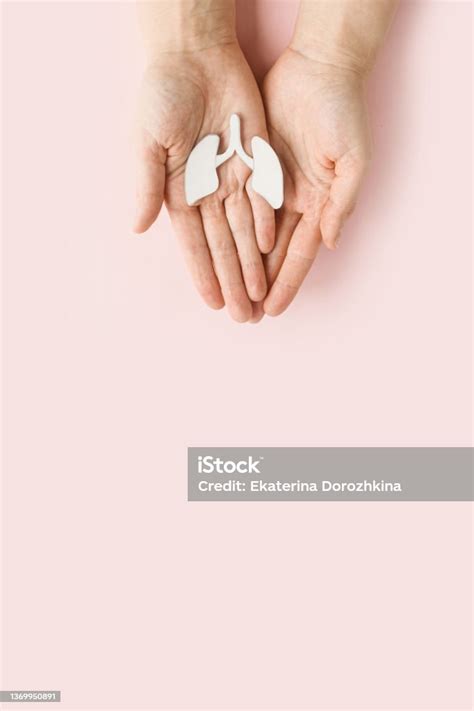 세계 결핵의 날 대처 세계 폐렴의 날 폐를 들고 성인 손 개념 호흡기와 가슴 세계 금연 담배의 날 폐암 폐 고혈압 만성폐쇄폐질환에 대한 스톡 사진 및 기타 이미지 Istock