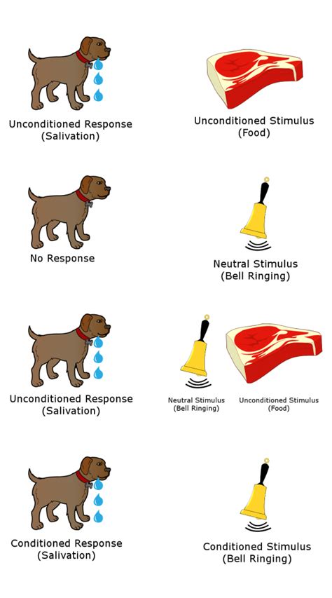 Classical Conditioning Examples