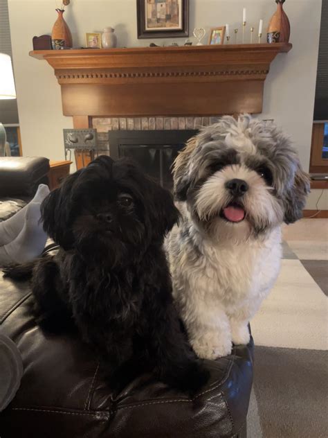 Reggie And Coal 🩷 Scrolller