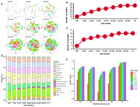 Effect Of Cell Numbers On Cell Clustering A TSNE Maps Of The Nine Download Scientific