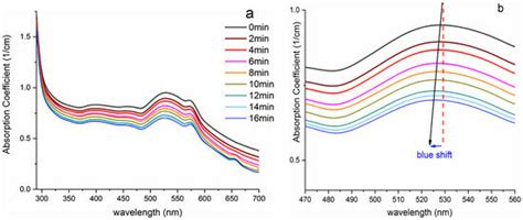 a absorption spectra of gold nanocolloids at different radiation