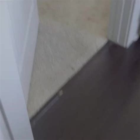 Valentine S Day With Stepsis Scrolller