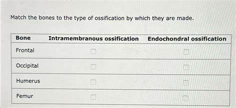 Solved Match The Bones To The Type Of Ossification By Which