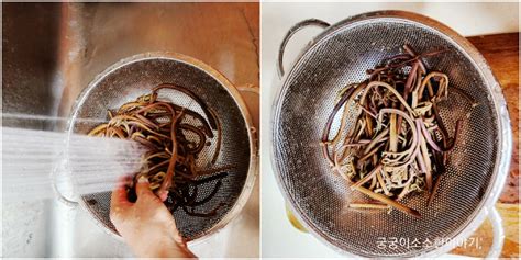 [밥 반찬] 백종원의 고사리 나물 무침 만들기