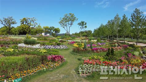 자연과 예술 조화 순천만국가정원 생동감 넘치는 여름꽃 화훼연출