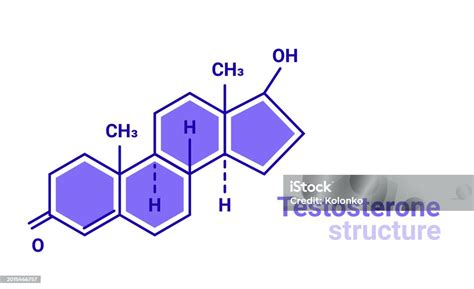 테스토스테론 호르몬 공식 아이콘입니다 테스토스테론 분자 구조 남성 호르몬 공식 테스토스테론에 대한 스톡 벡터 아트 및 기타 이미지 테스토스테론 분자 0명 Istock