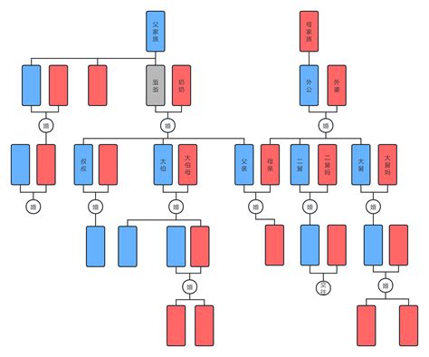 有什么思维导图软件适合做家谱族谱的？ 知乎