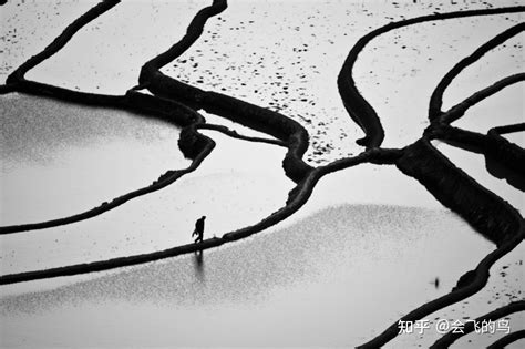 学会抛弃法则的创意构图，形成非比寻常的画风 知乎