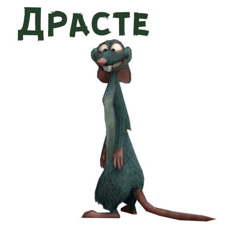 Набор стикеров для Telegram «Реальная белка»