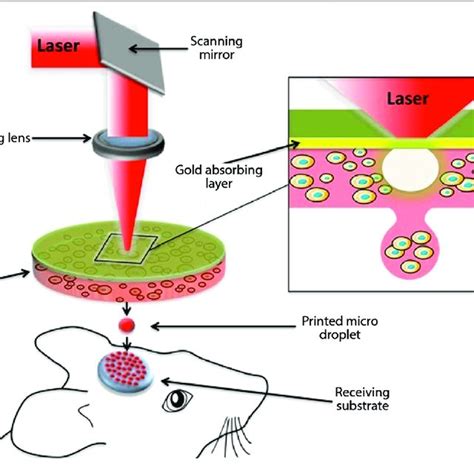 Current Challenges In 3d Bioprinting Techniques Download Scientific Diagram