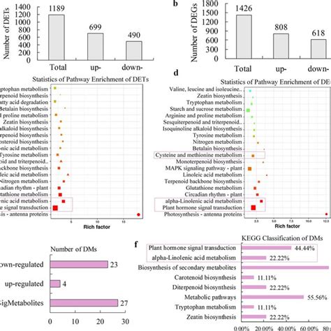 Overview Of The Number Of Differentially Expressed Transcripts Dets Download Scientific