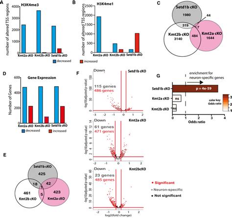 Postnatal Expression Of The Lysine Methyltransferase Setd1b Is Essential For Learning And The
