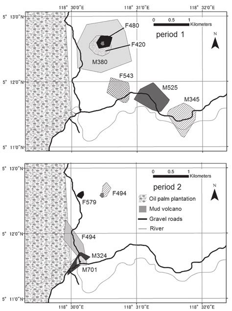 Distribution Of 11 Tracked Civets During Period 1 December