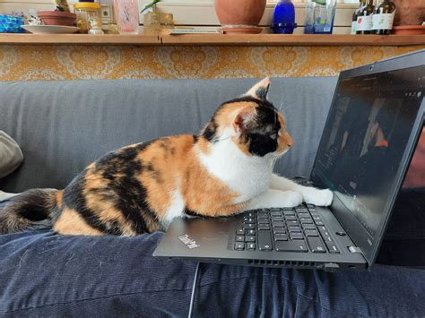 Best R Thinkpad Images On Pholder I M So Into Thinkpad Laptops That I Decided To Go To