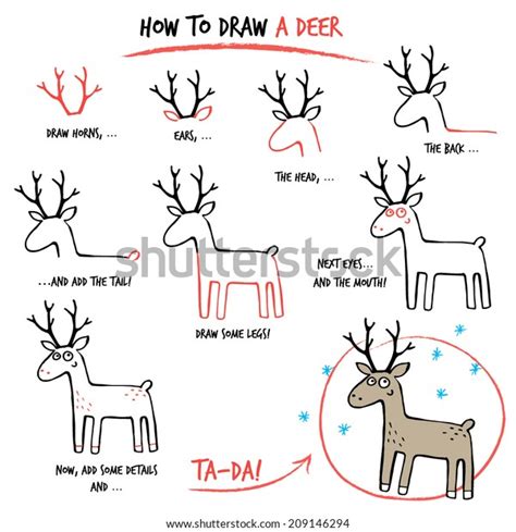 Drawing Tutorial How Draw Deer Step Stock Vector Royalty Free 209146294