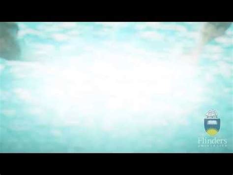 This Ancient Bony Fish Was A Sexual Pioneer