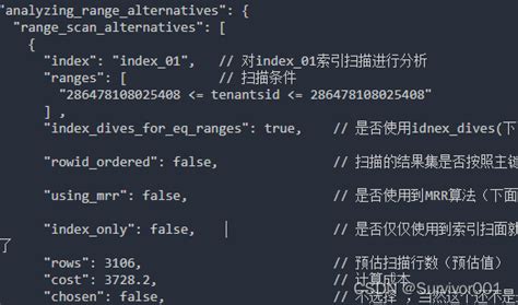 索引成本计算和优化建议sql索引建议 Csdn博客