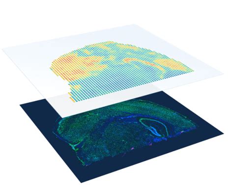 Visium Spatial Platform 10x Genomics